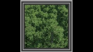 Forester | Transport Fever 2 Mod Download